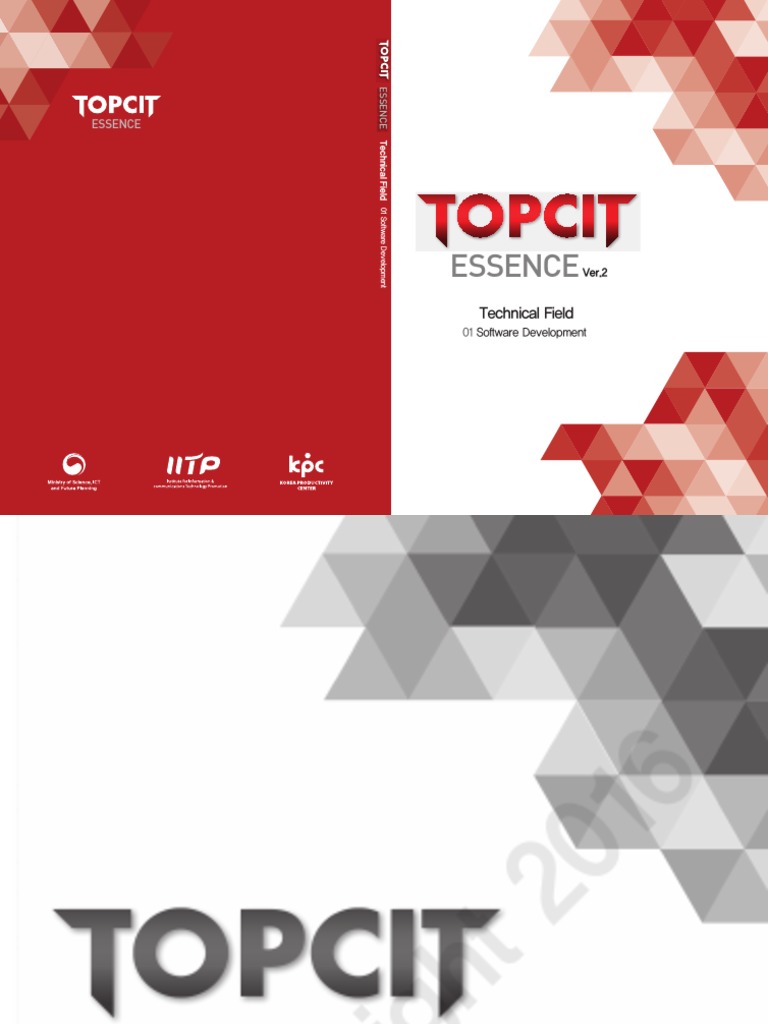 01 Software TOPCIT | Download Free PDF | Software Quality | Software