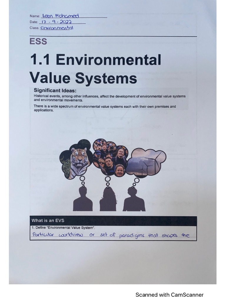 Environmental Value Systems | PDF