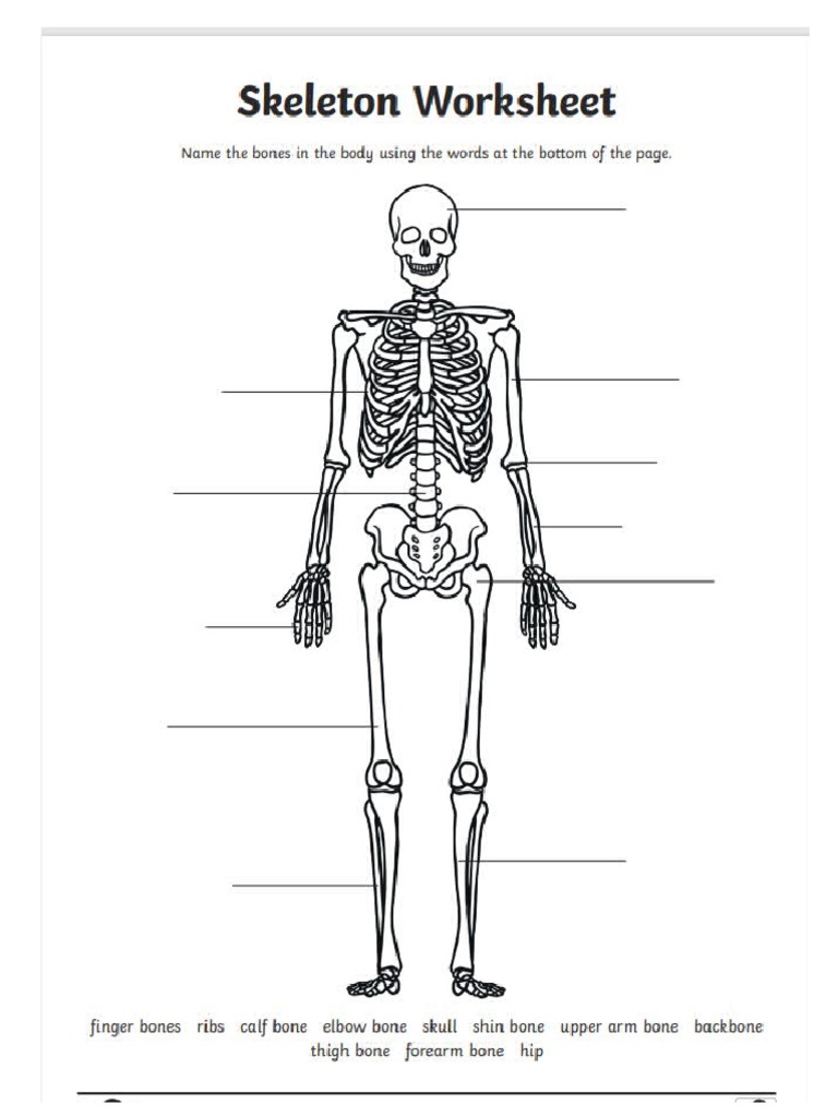 Science 6 Activity | PDF