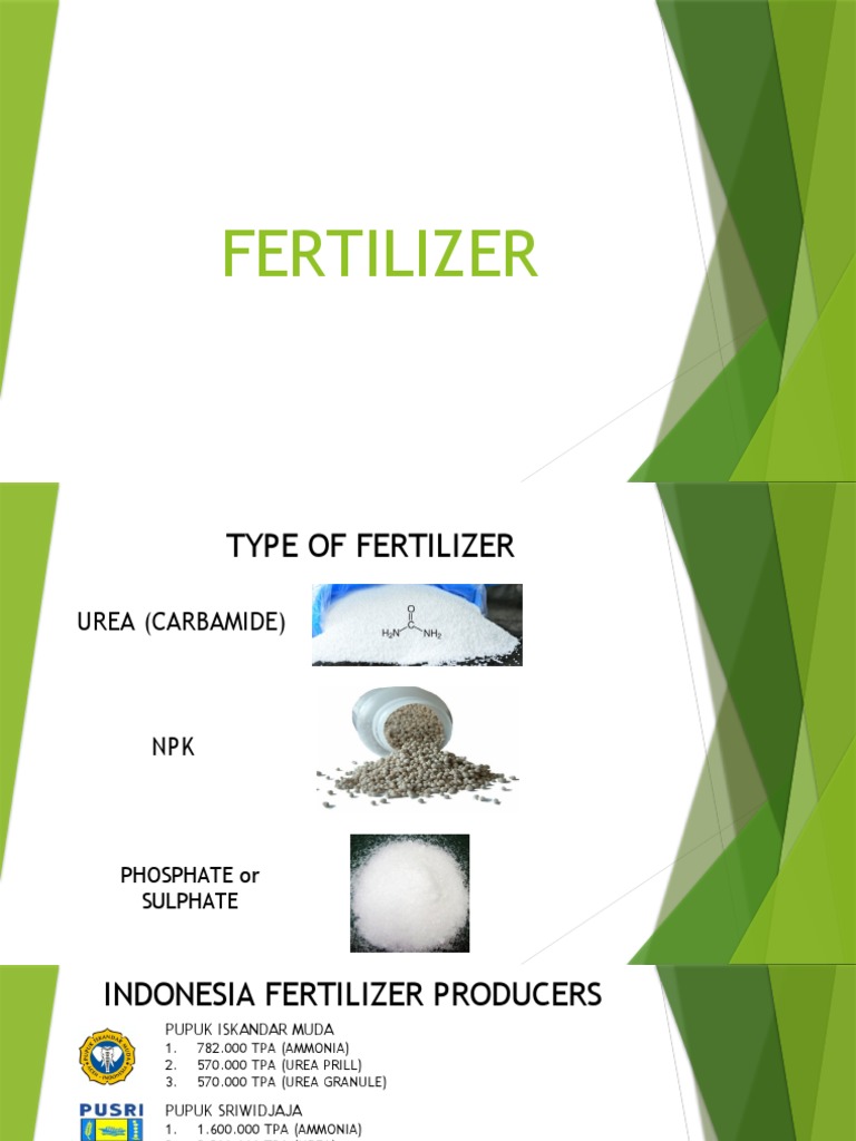 Fertilizer Presentation | PDF