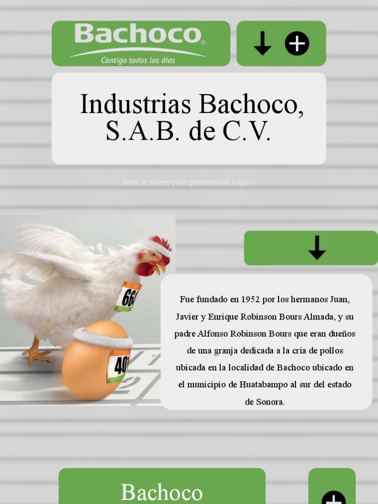 Bachoco | PDF | Empresas de servicios financieros de los Estados Unidos ...