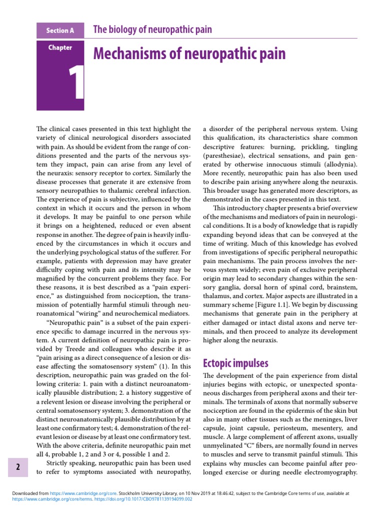 Mechanisms of Neuropathic Pain | PDF | Pain | Neuron