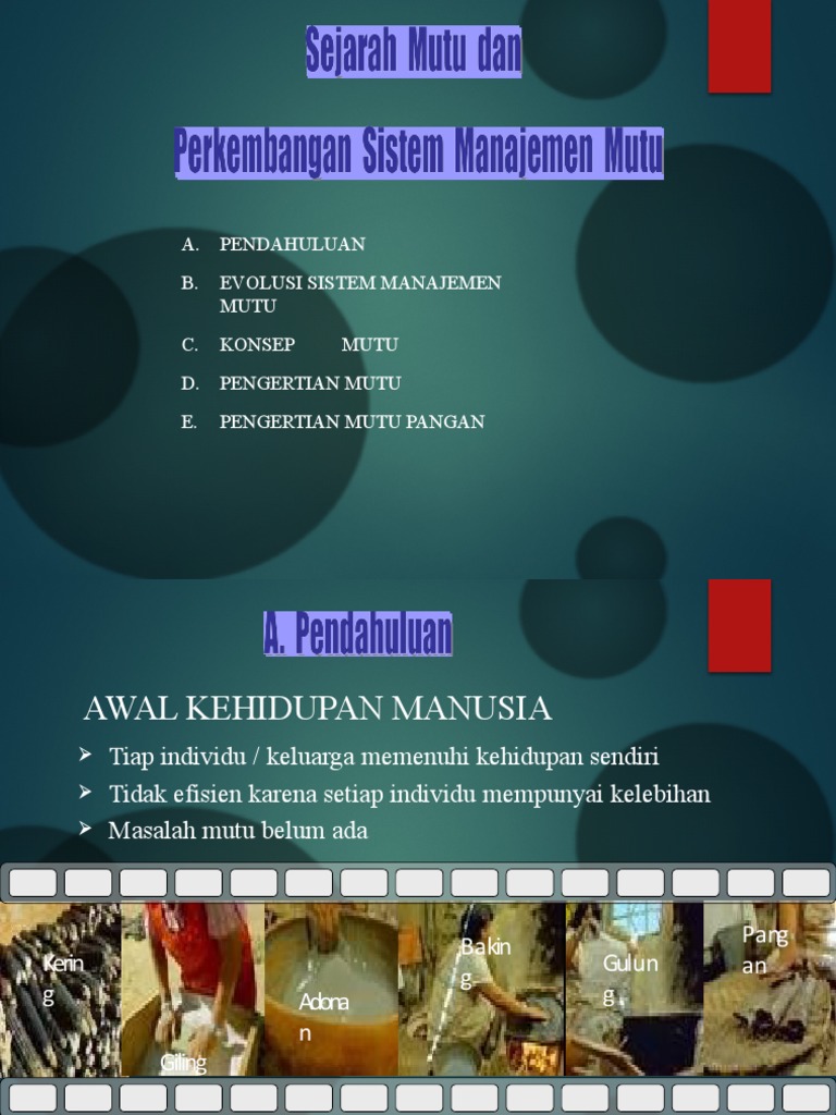 Materi-02 Evolusi Mutu | PDF