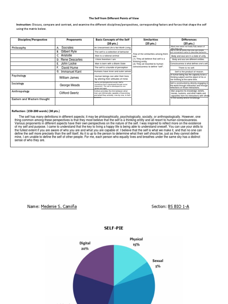 The Self From Different Points of View Matrix & Self Pie Rubric (Camiña ...