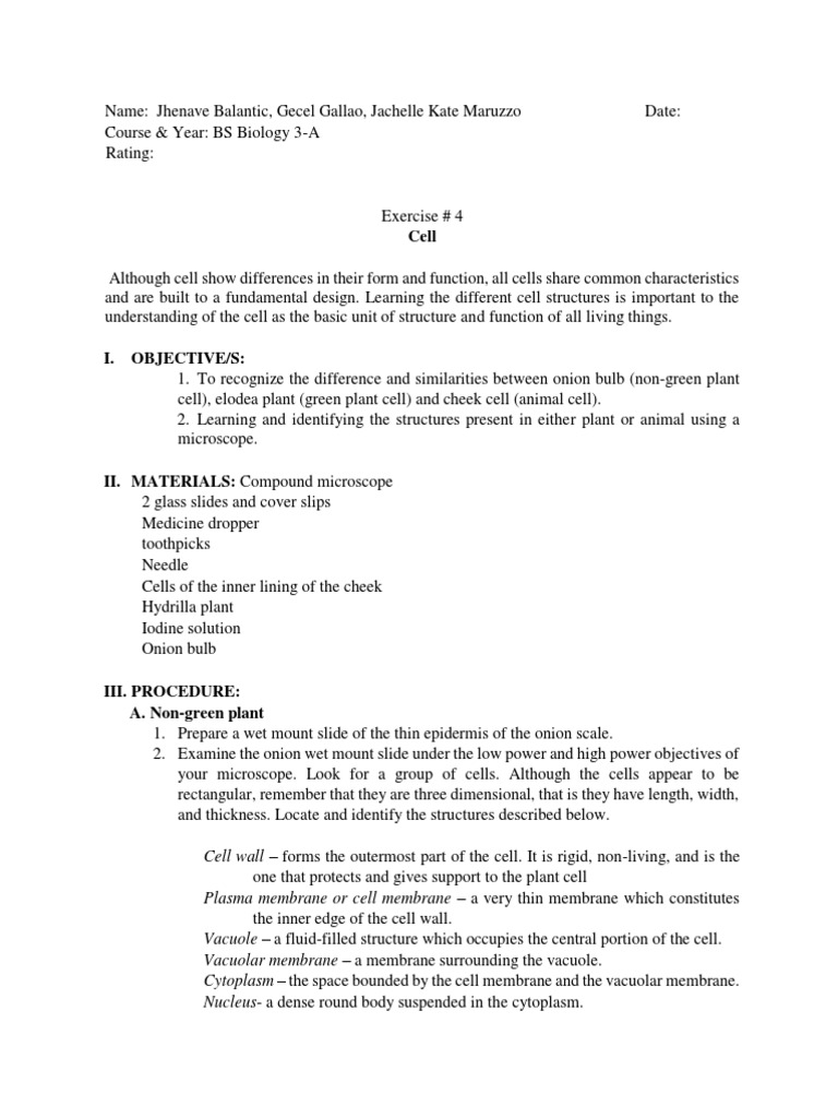 4 Cells | PDF | Cell (Biology) | Chloroplast