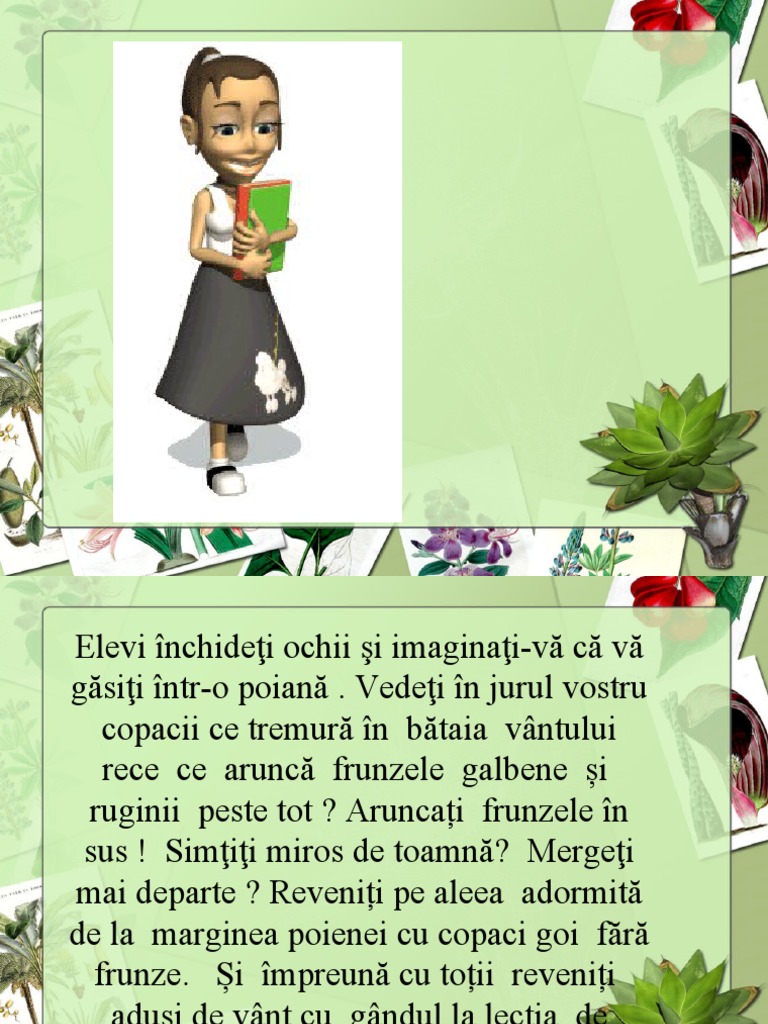 Structura Frunzei | PDF