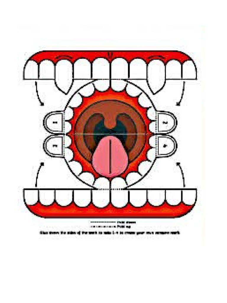 Printable Model Gigi | PDF