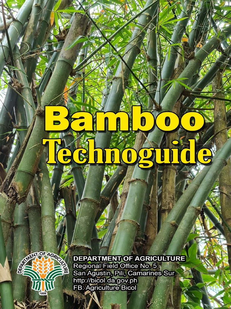Bamboo Technoguide 2021 | PDF | Bamboo | Charcoal