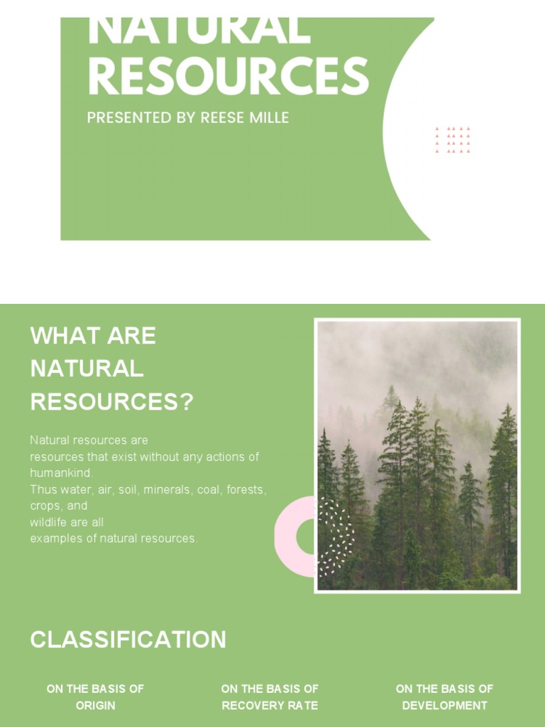 Natural Resources | PDF | Ecosystem | Resource