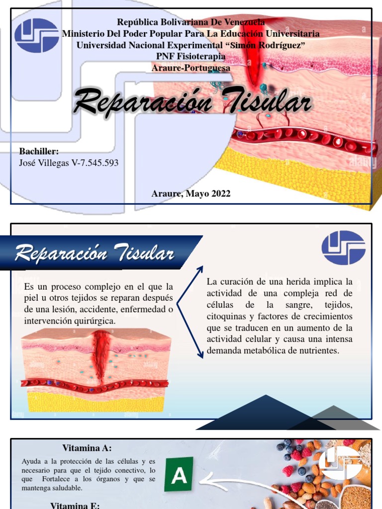 Reparacion Tisular | PDF | Hueso | Articulación