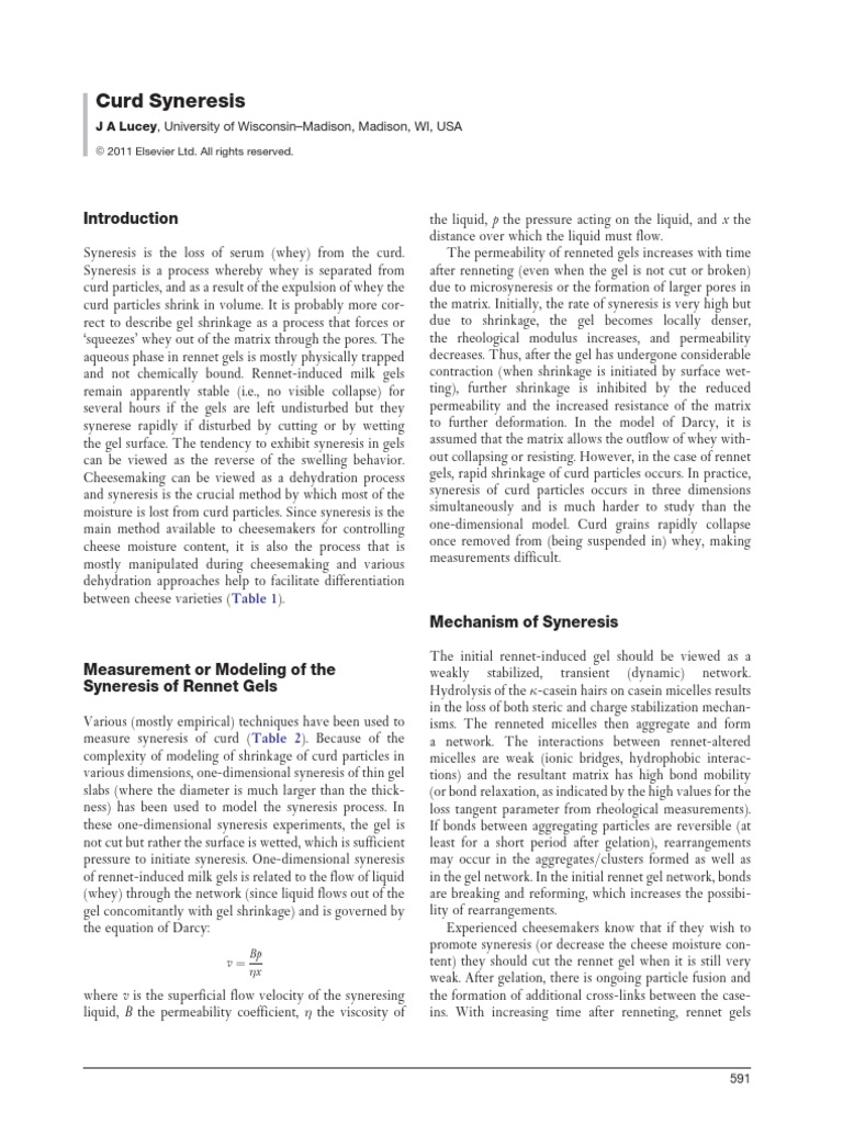 Synersis | PDF | Cheesemaking | Cheese