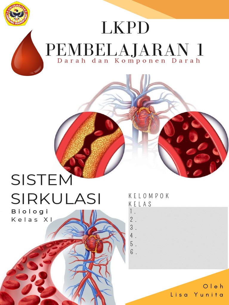LKPD Sistem Sirkulasi | PDF