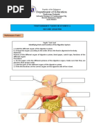 Printable Digestive System Cut-Outs | PDF