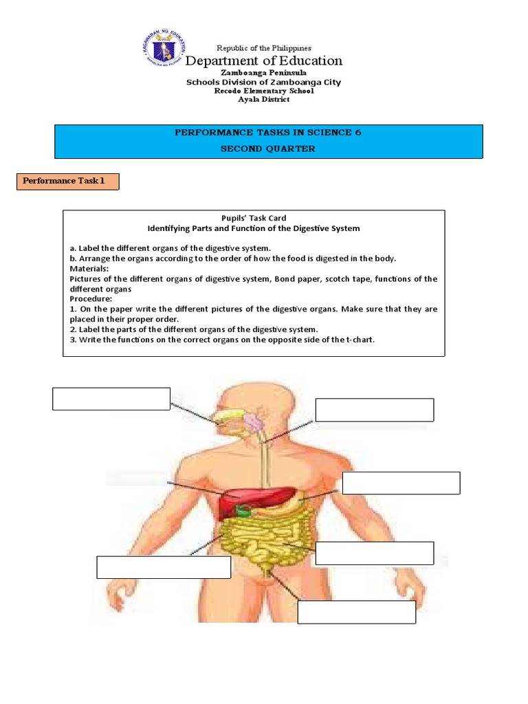 2ND Grading Performace Task | PDF | Cognition | Learning 2ND Grading Performace Task | PDF | Cognition | Learning