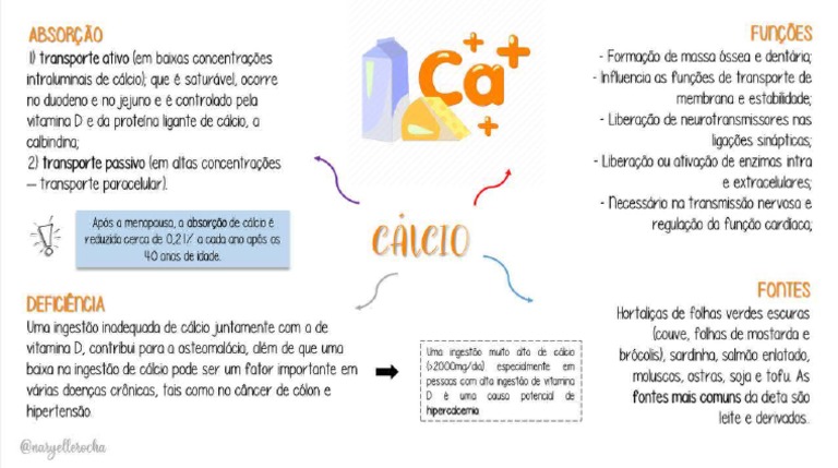 CÁLCIO | PDF