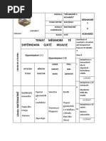 Planet Vjetore Dhe Mujore 2022 23 KL.X | PDF