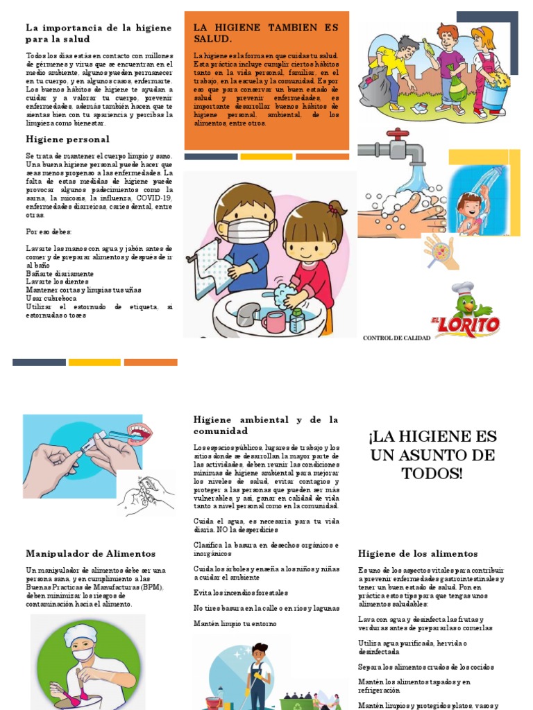 La Importancia de La Higiene para La Salud | PDF | Alimentos | Higiene