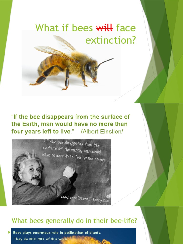 What If Bees Will Face Extinction | PDF | Science & Mathematics