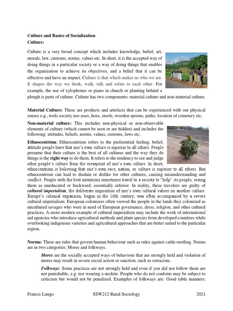 Lesson 2021 Culture and Basics of Socialization | PDF | Socialization ...
