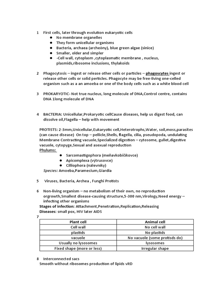 First Cells | PDF | Cell (Biology) | Organisms