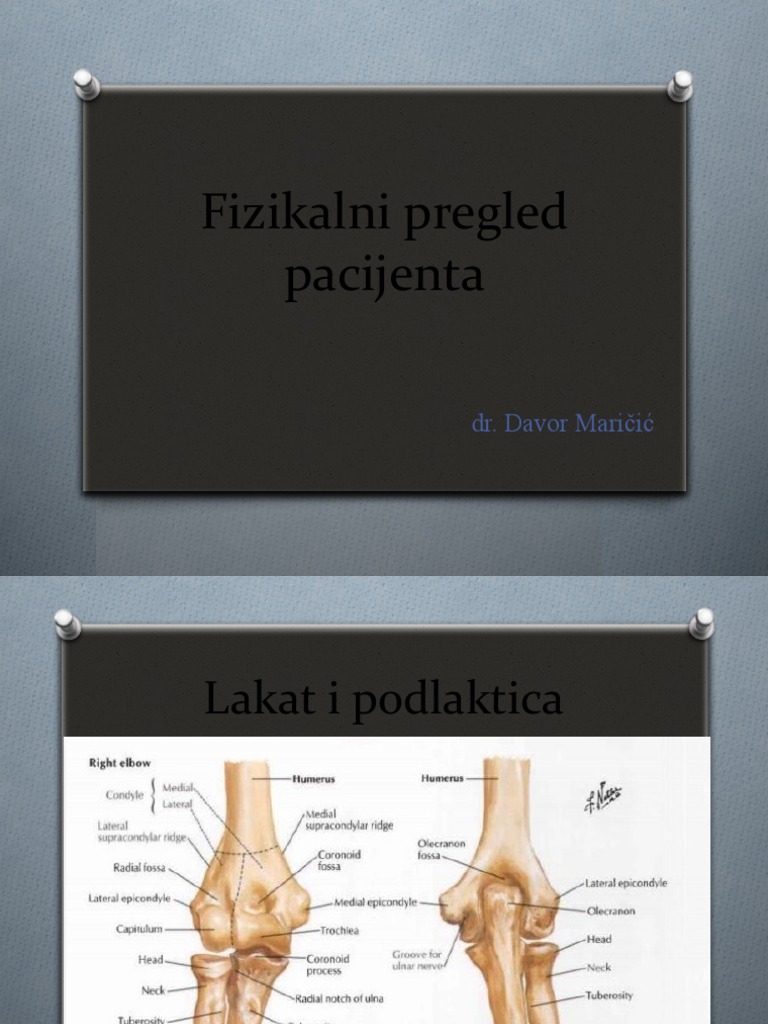 P 5 Lakat i Podlaktica Ručni Zglob i Šaka | PDF