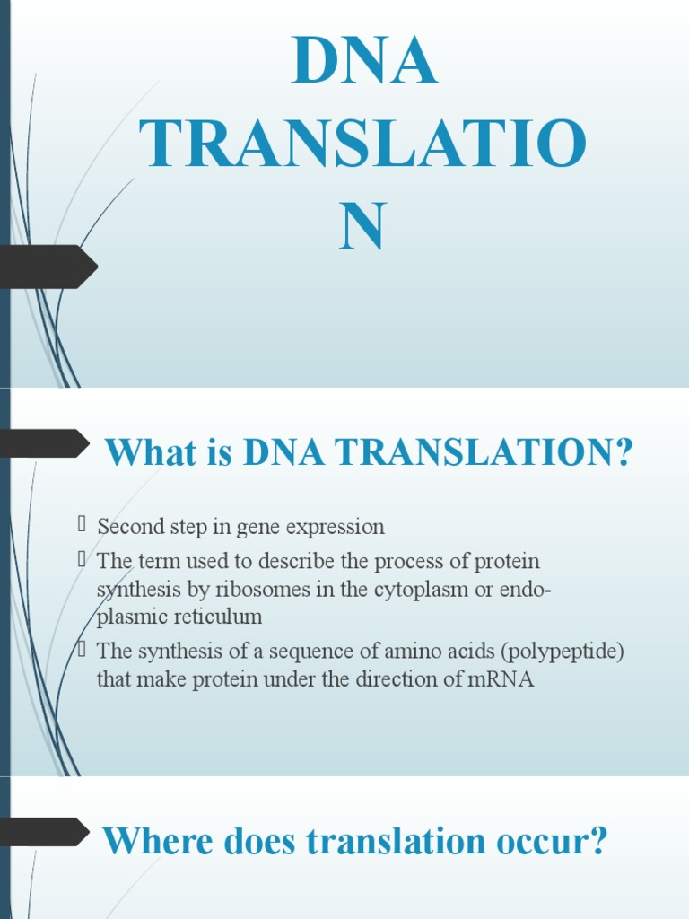 Dna Translation | PDF | Translation (Biology) | Ribosome
