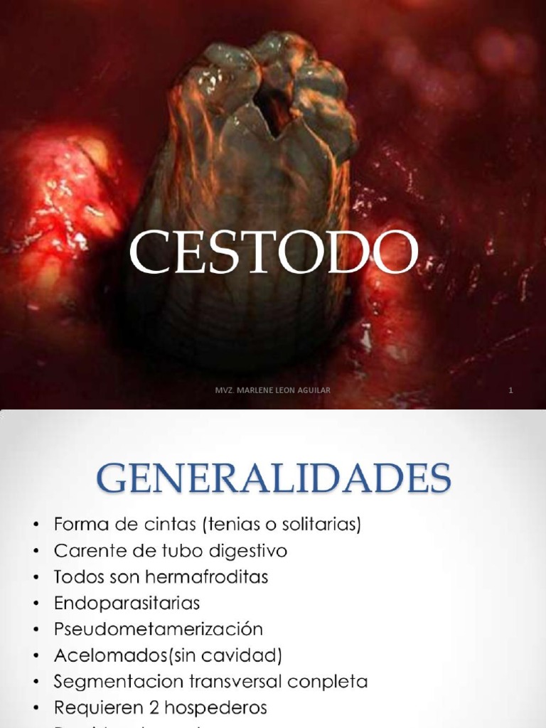 Generalidades de Los Cestodos | PDF