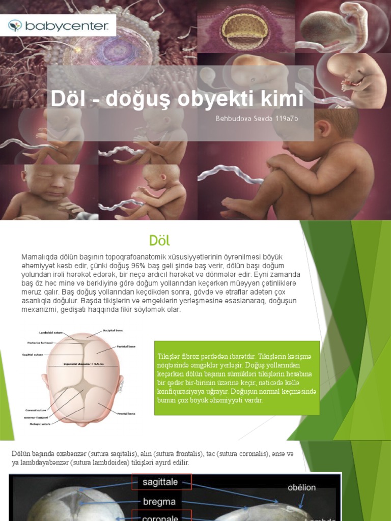 119a7b Behbudova Sevda Ginek | PDF