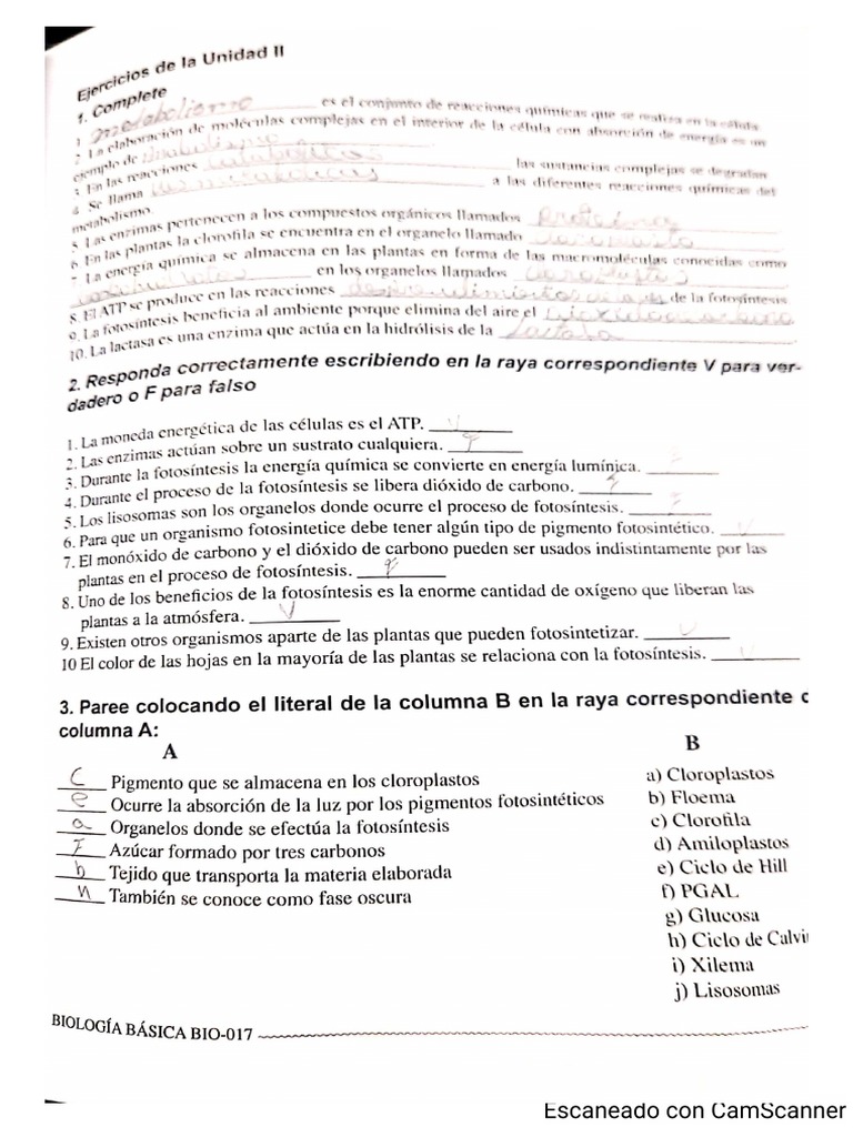 Unidad II Mayelin Frias Sanchez | PDF