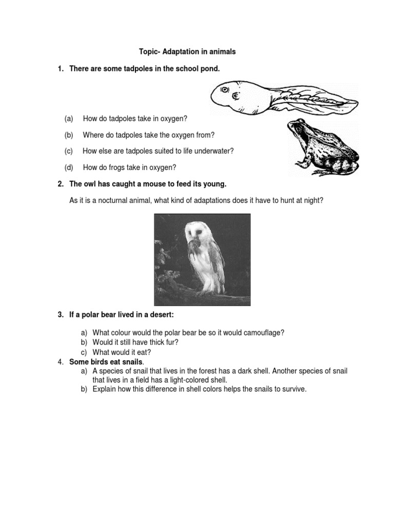 Animal Adaptations for Survival | PDF | Social Science