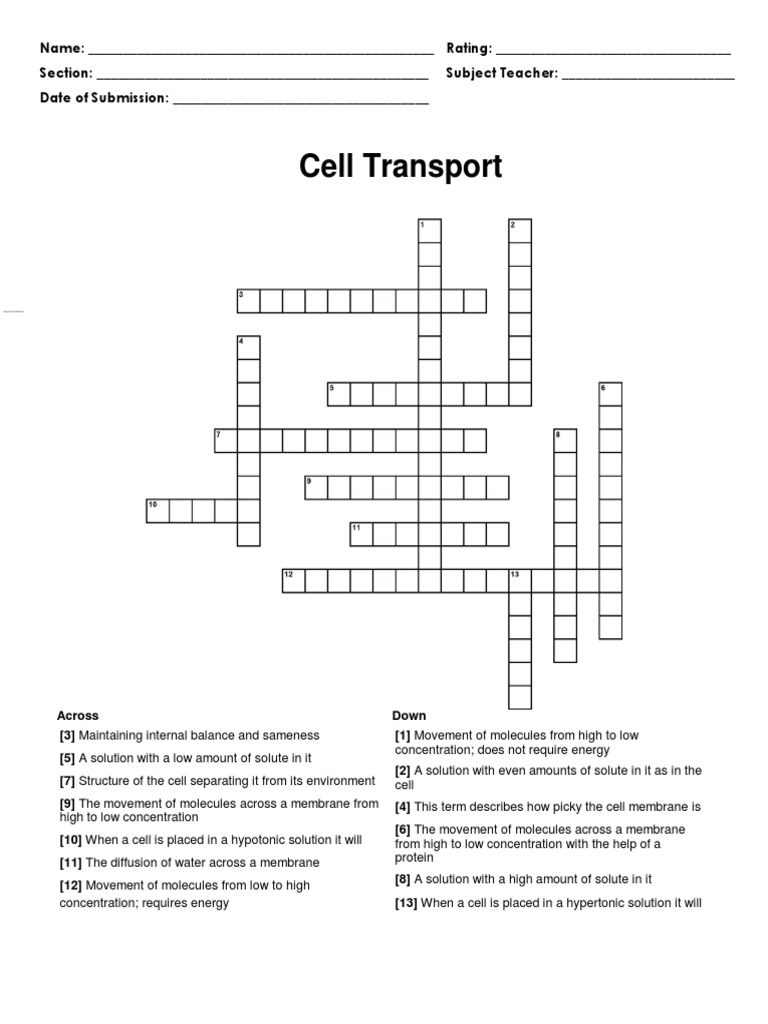 Cell Transport Crossword Puzzle | PDF