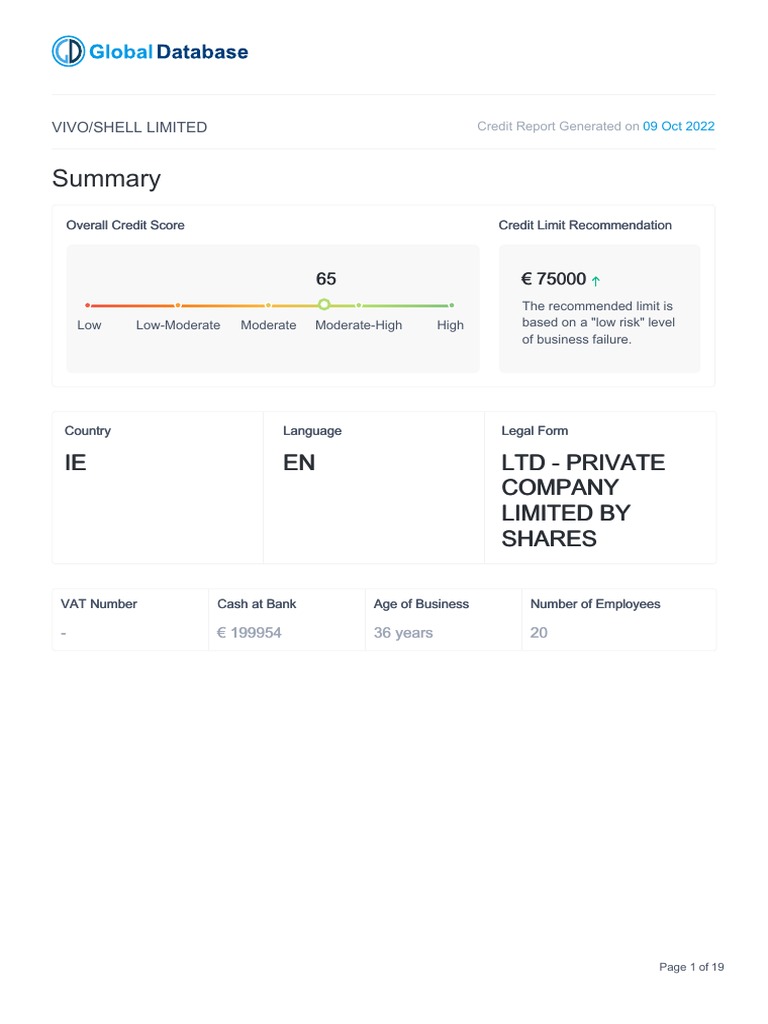 VIVO - SHELL LIMITED Credit Report | PDF | Balance Sheet | Business