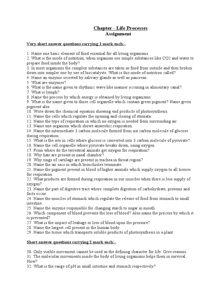 Life Processes - Assignment | PDF | Digestion | Cellular Respiration