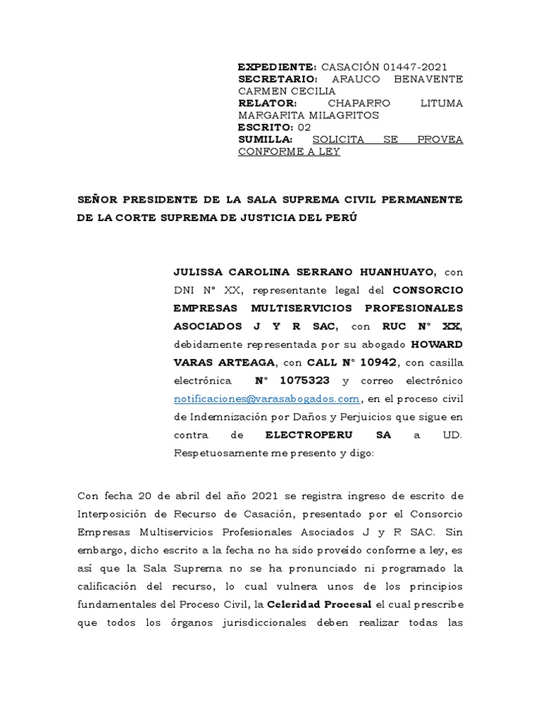 Solicito Se Provea Conforme A Ley | PDF | Ley procesal | Judicaturas