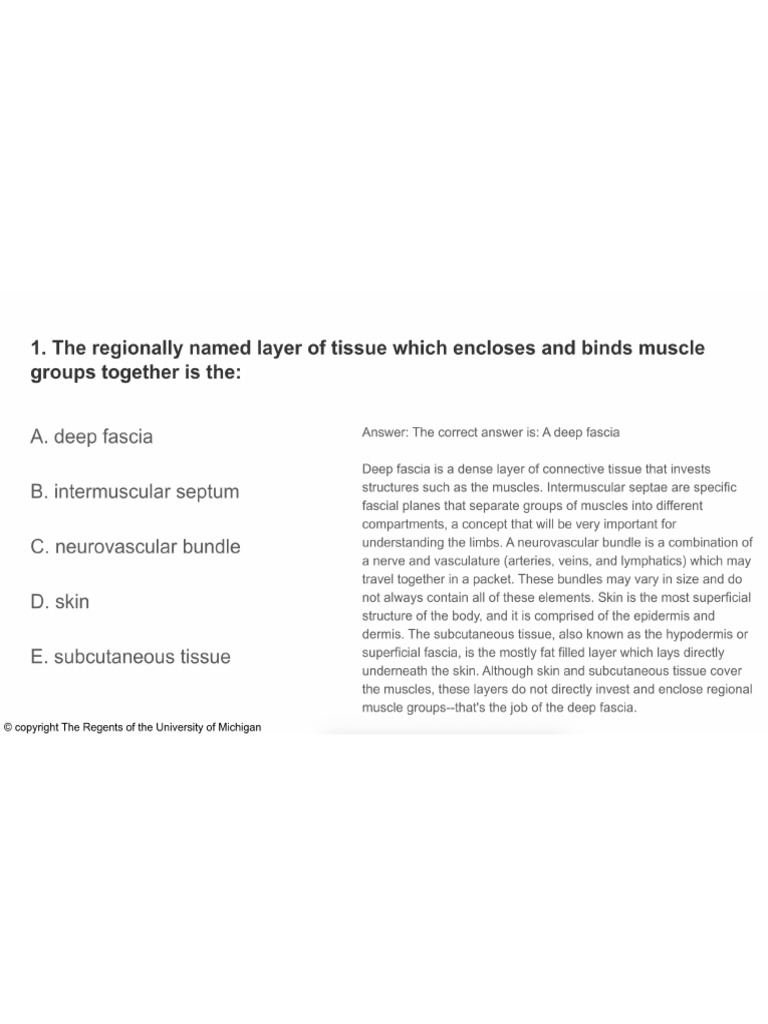 Anterior Neck | PDF