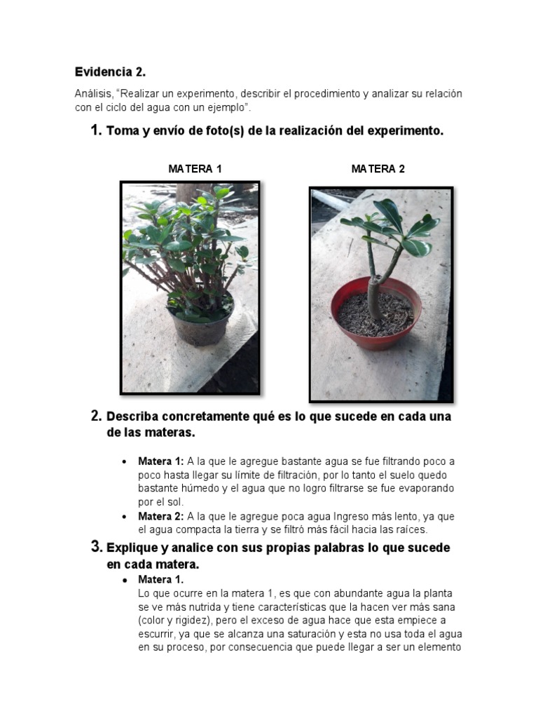 Evidencia 2 Experimento | PDF