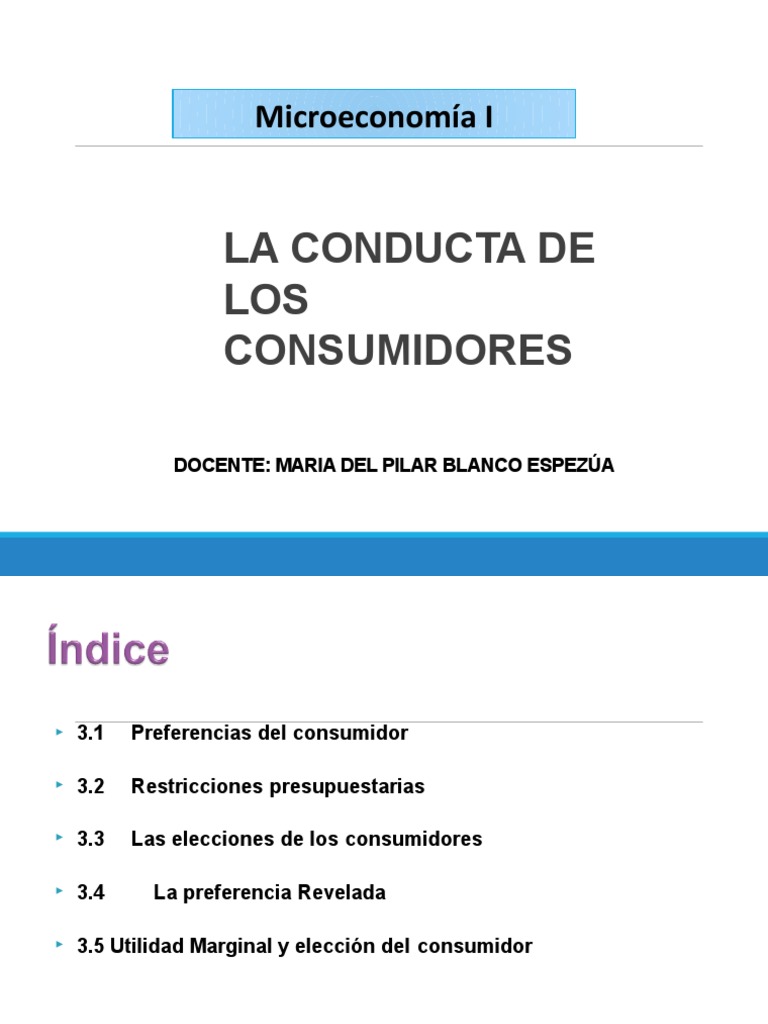 1.la Conducta de Los Consumidores | PDF | Utilidad | Los consumidores