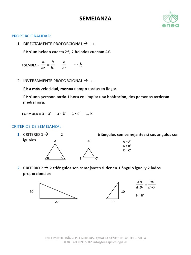 Semejanza y Proporcionalidad en Triángulos | PDF | Triángulo | Geometría