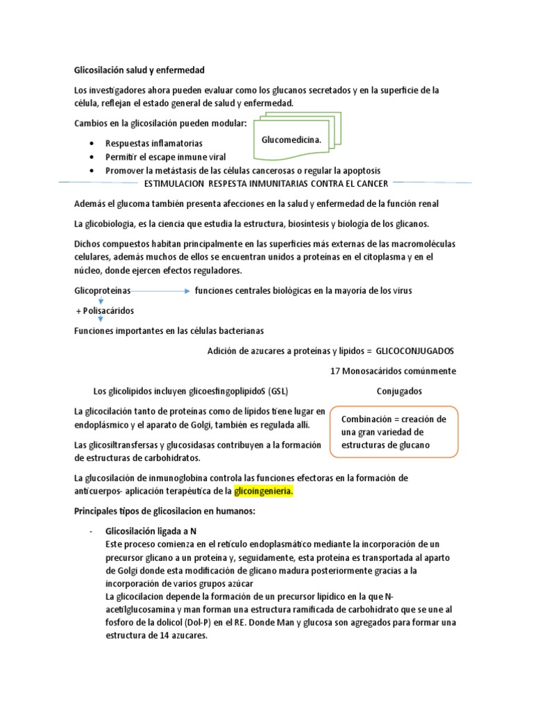 Glicosilación Salud y Enfermedad | PDF | Anticuerpo | Sistema inmune