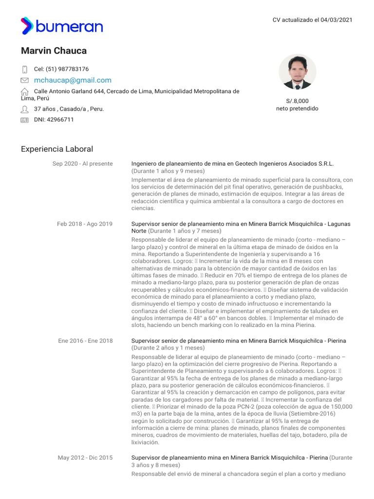 CV Marvin Chauca | PDF | Minería | Business