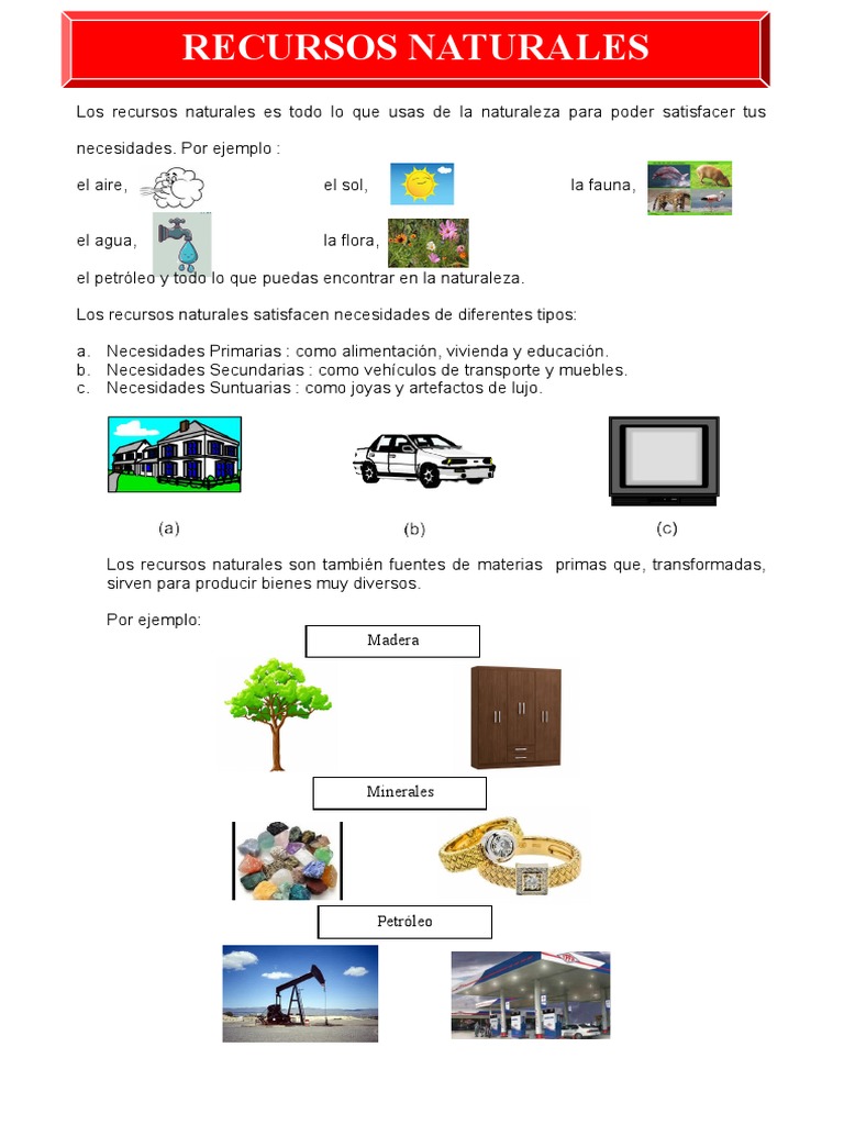 Los Recursos Naturales para Tercero de Primaria | PDF