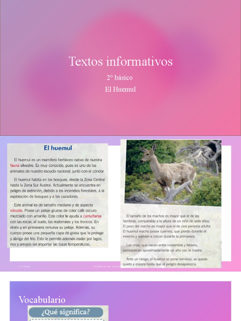 Textos Informativos | PDF | Microsoft PowerPoint | Software