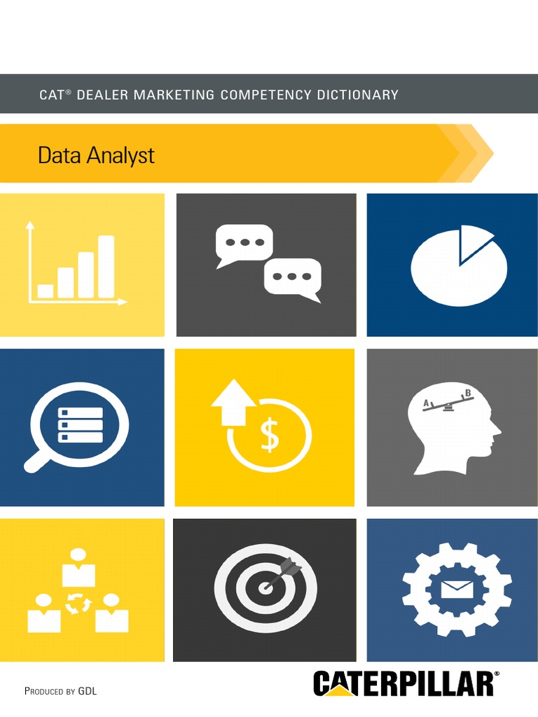 Data Analyst Competency Dictionary | PDF | Statistics | Customer ...