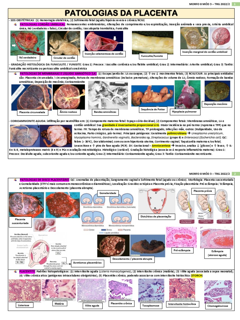 Tabela 7 M3 1VA - Patologias Placenta | PDF | Placenta | Câncer