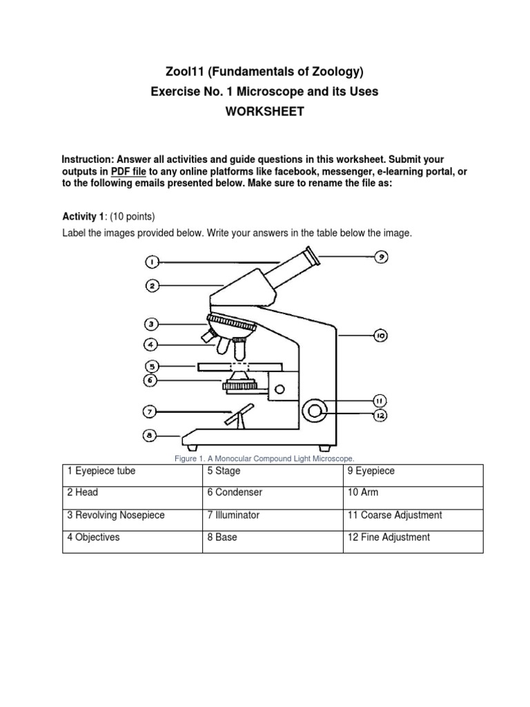 Microscope Basics and Applications | PDF | Microscope | Atomic