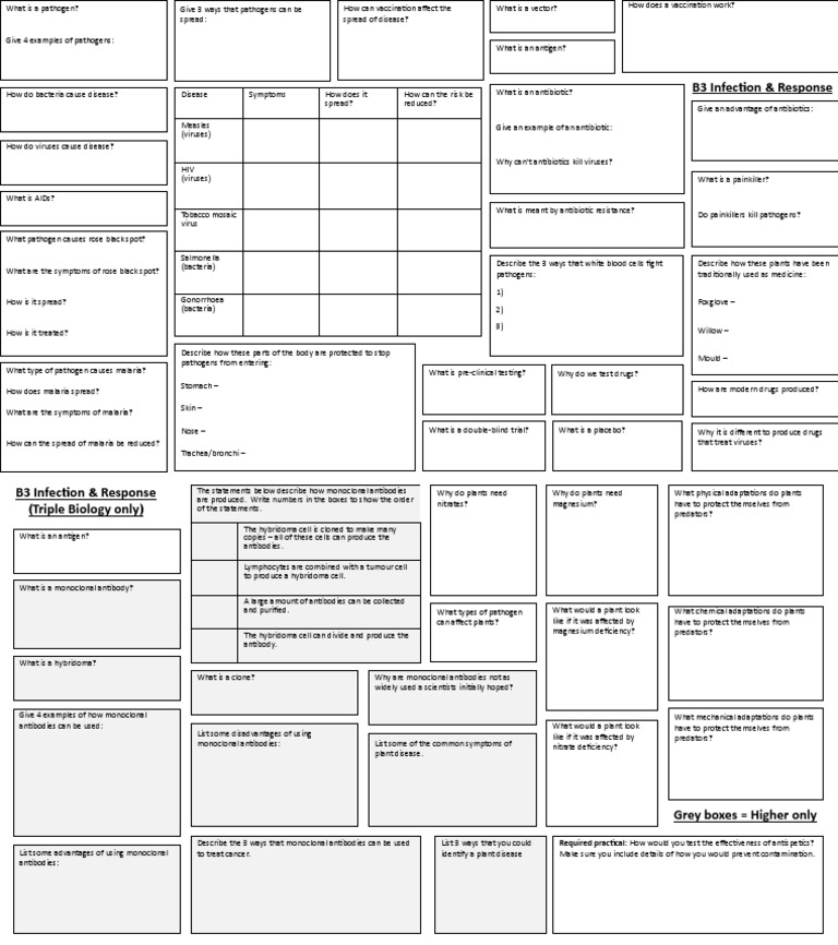 B3 Full Revision Summary Broadsheet (Triple Only) | PDF | Pathogen ...