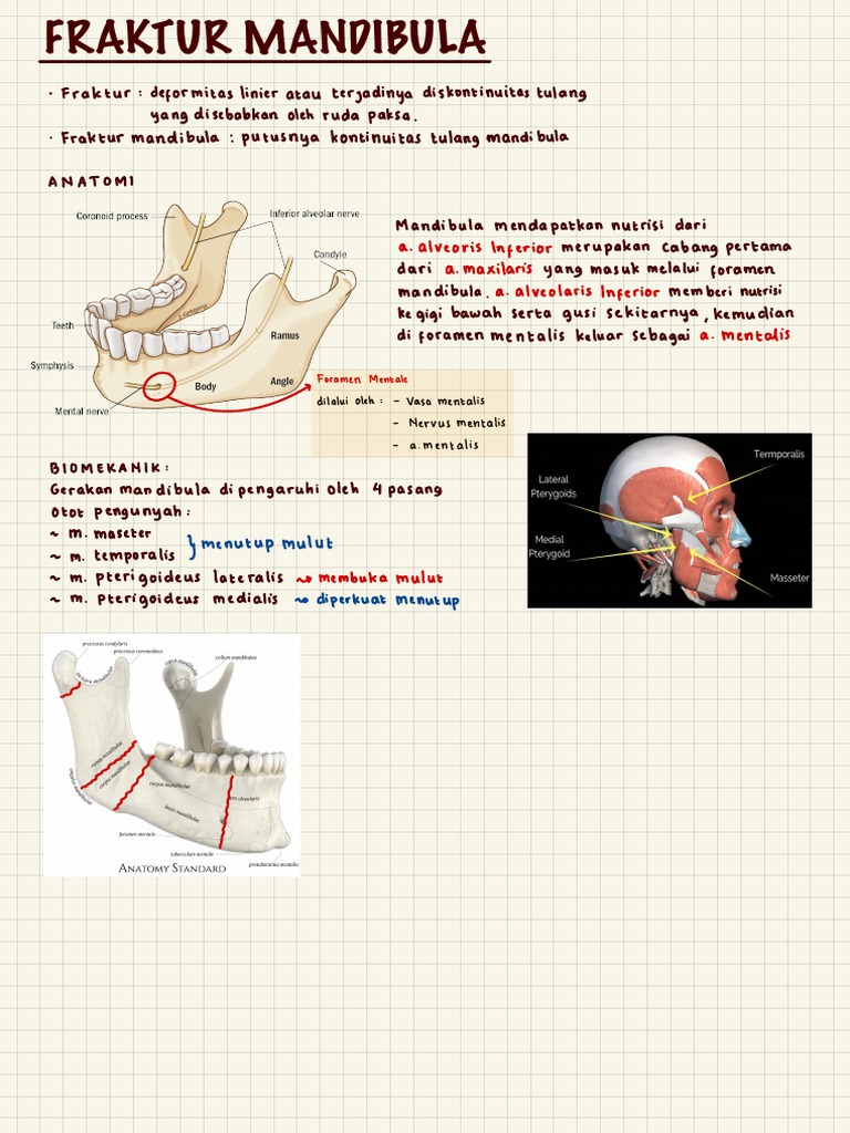 Fraktur Mandibula | PDF