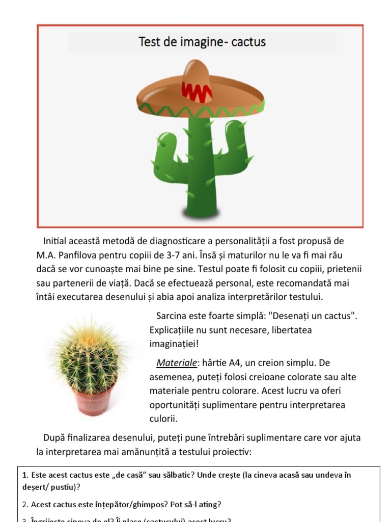 Test de Imagine | PDF