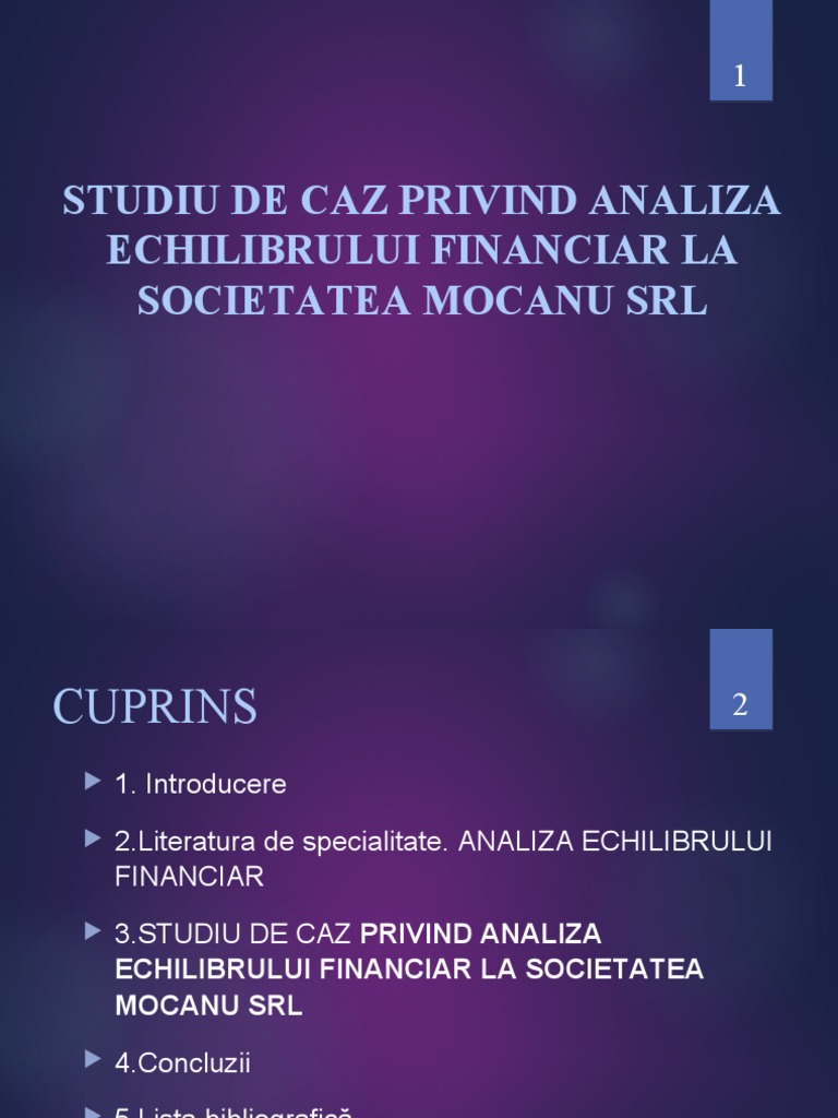 Analiza Echilibrului Financiar | PDF