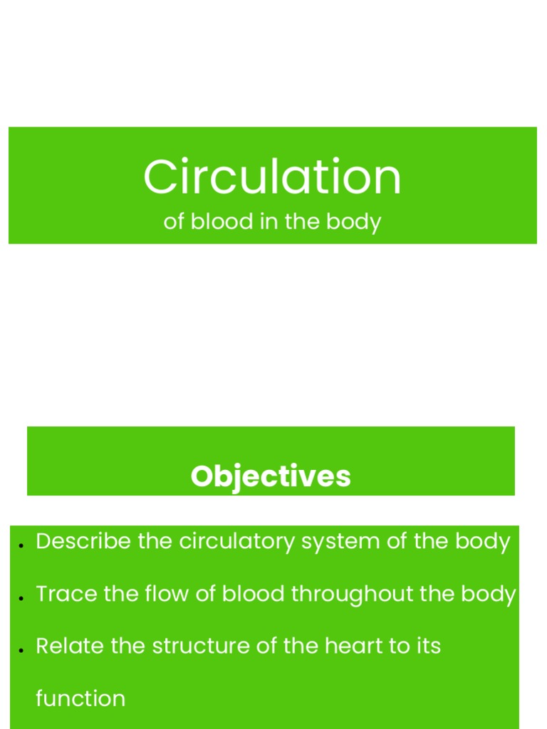 Circulation Pdf Atrium Heart Heart
